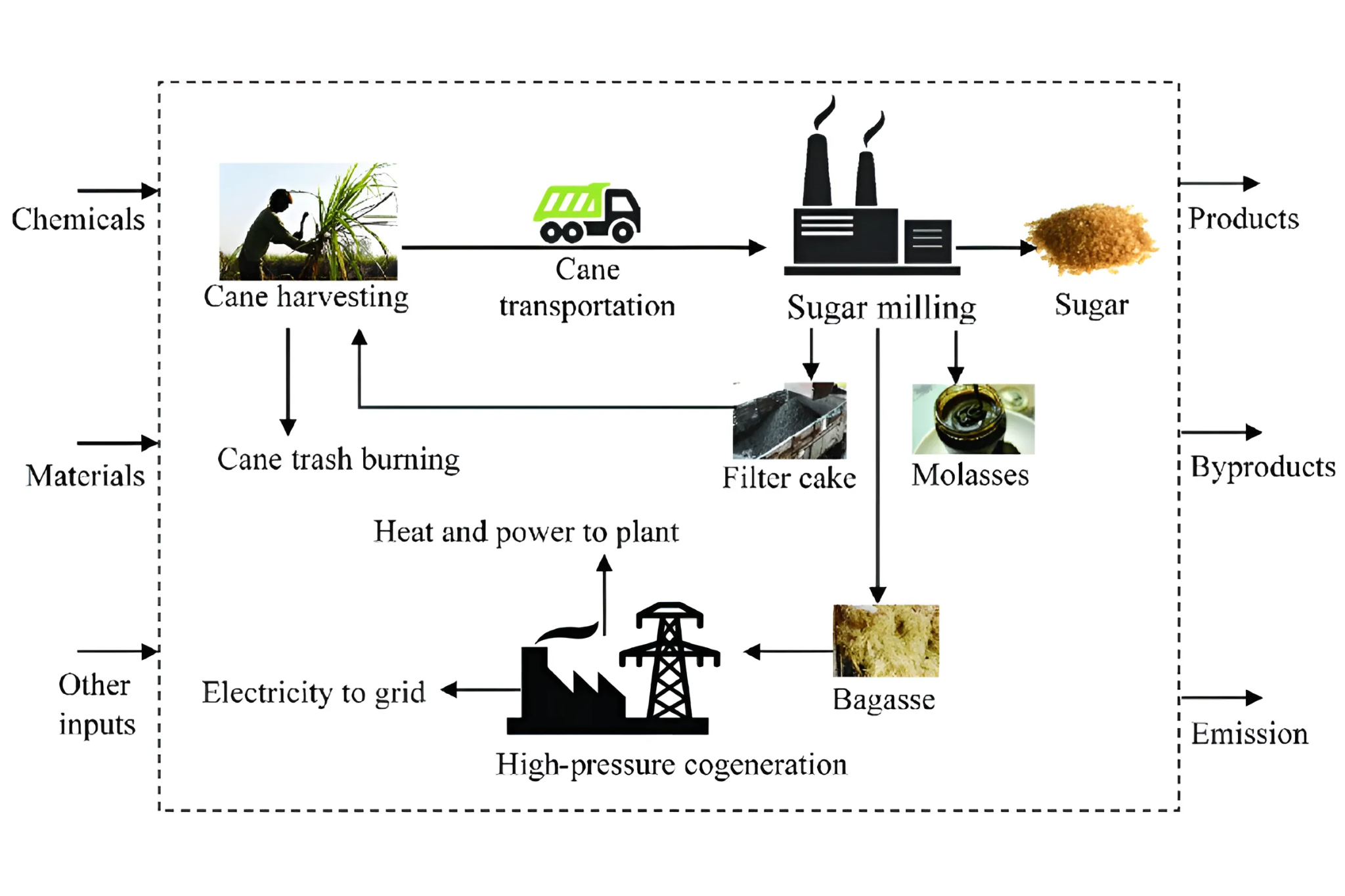 Bagasse Handling Systems | Turning Waste into Wealth